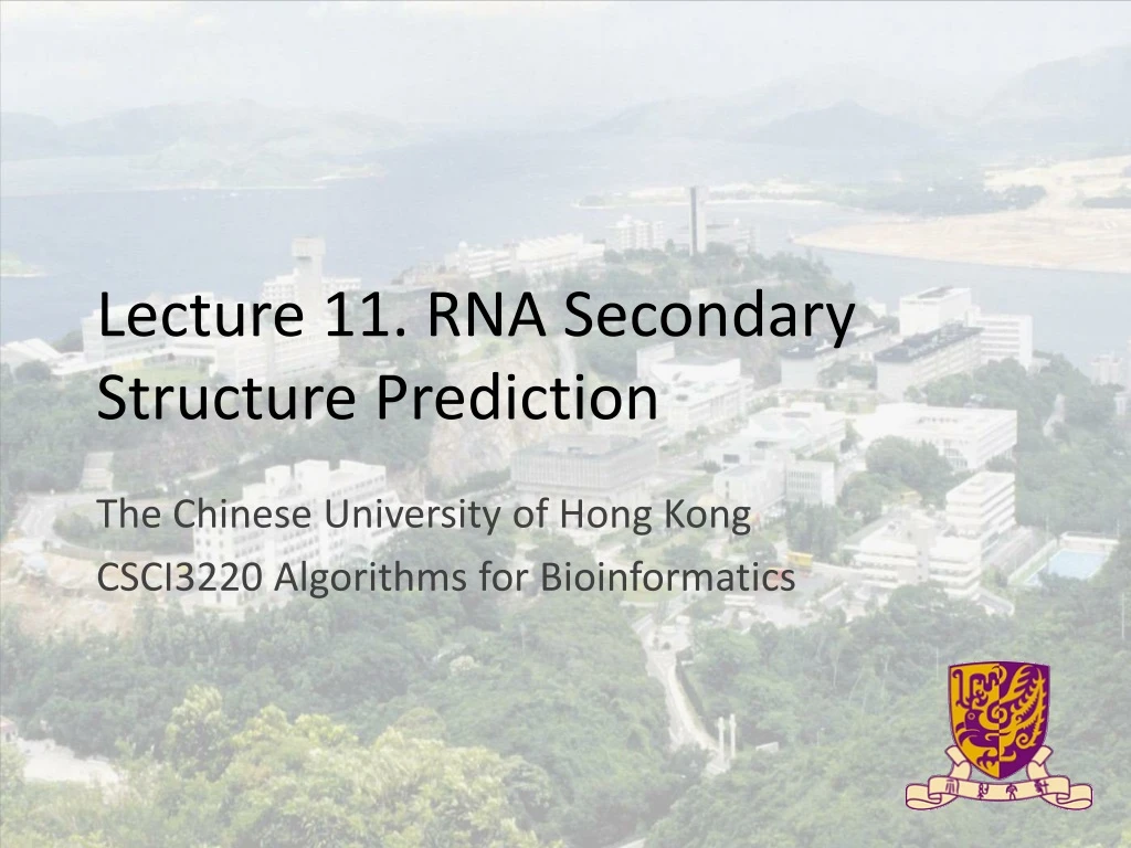 PPT - Lecture 11. RNA Secondary Structure Prediction PowerPoint Presentation - ID:8778979