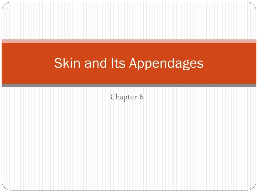 PPT - Skin and Its Appendages PowerPoint Presentation, free download - ID:8788507