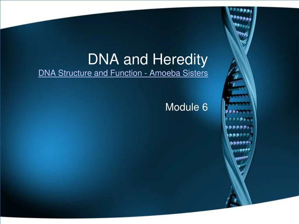 PPT - DNA and Heredity DNA Structure and Function - Amoeba Sisters ...