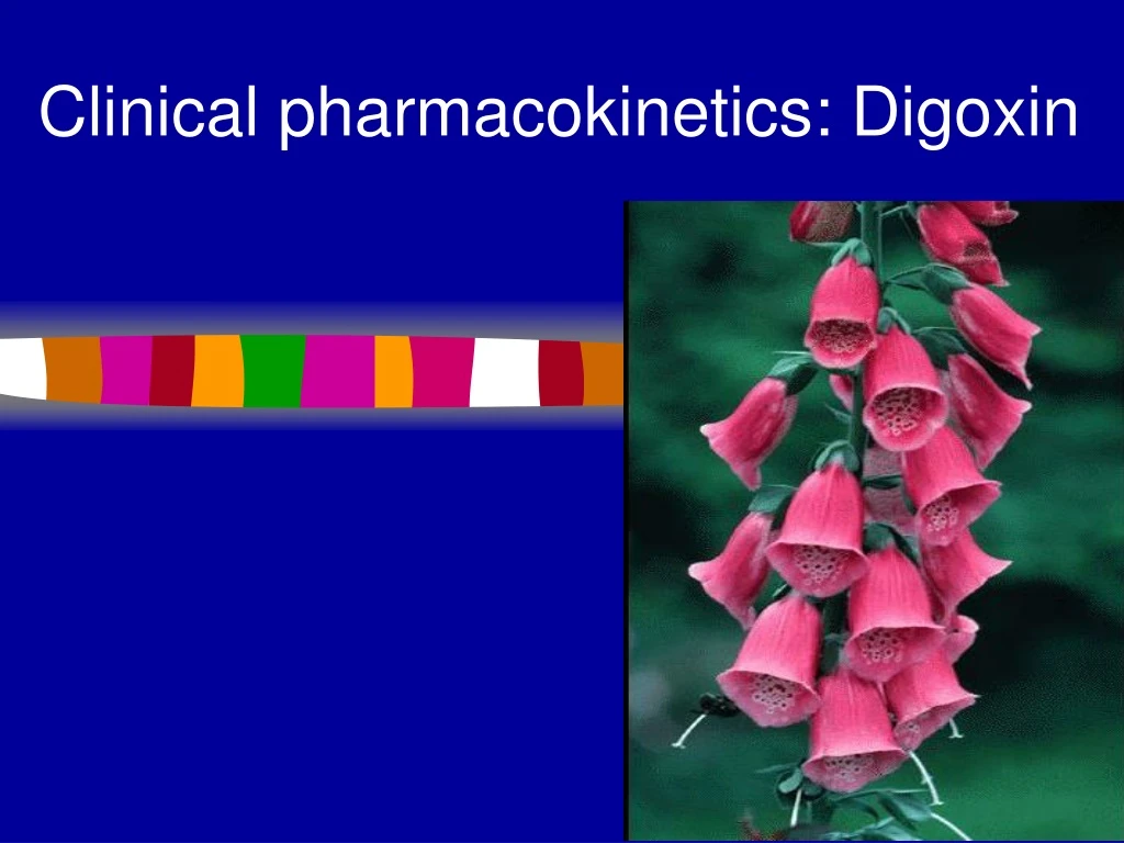 PPT - Clinical pharmacokinetics: Digoxin PowerPoint Presentation, free ...