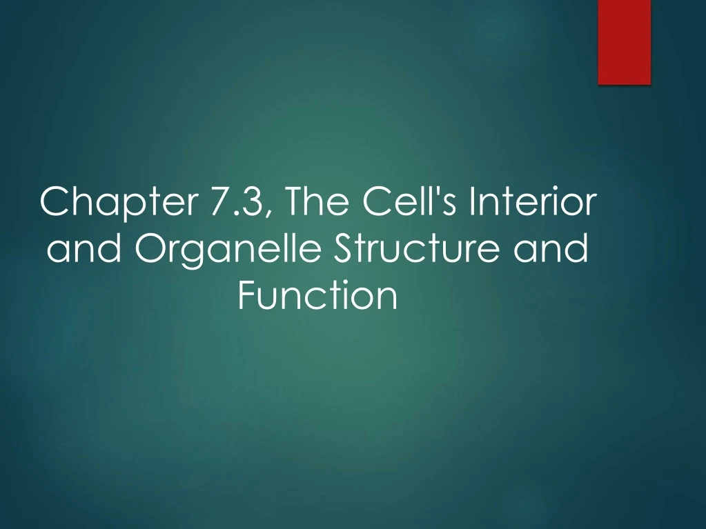 Chapter 7 Cell Structure And Function Concept Map Answers - Map