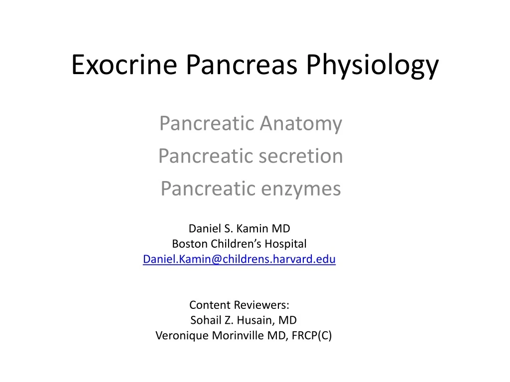 PPT - Exocrine Pancreas Physiology PowerPoint Presentation, free ...