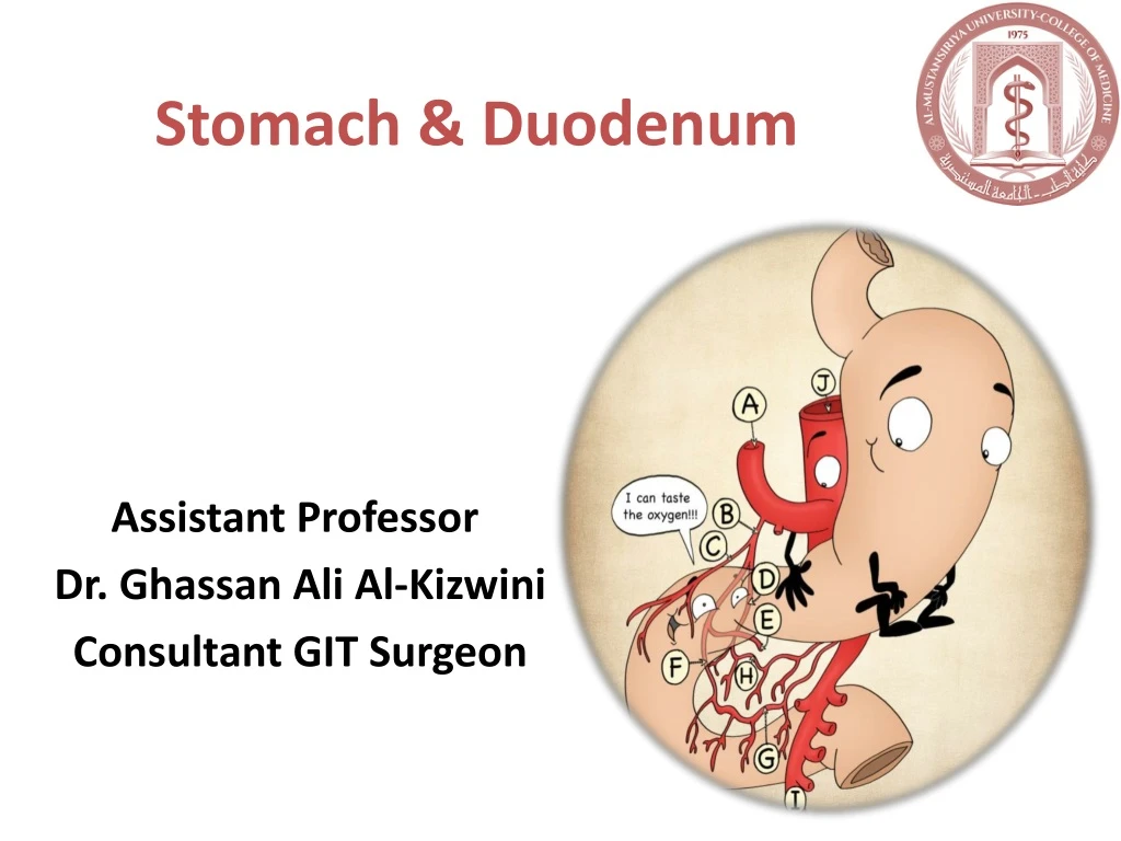 PPT - Stomach & Duodenum PowerPoint Presentation, free download - ID ...