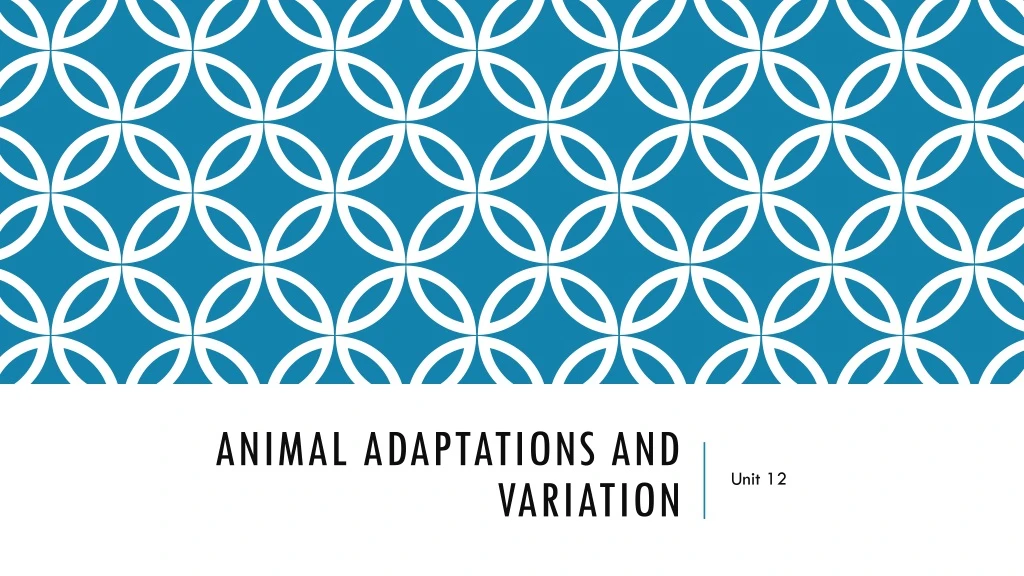 PPT - Animal Adaptations and variation PowerPoint Presentation, free ...