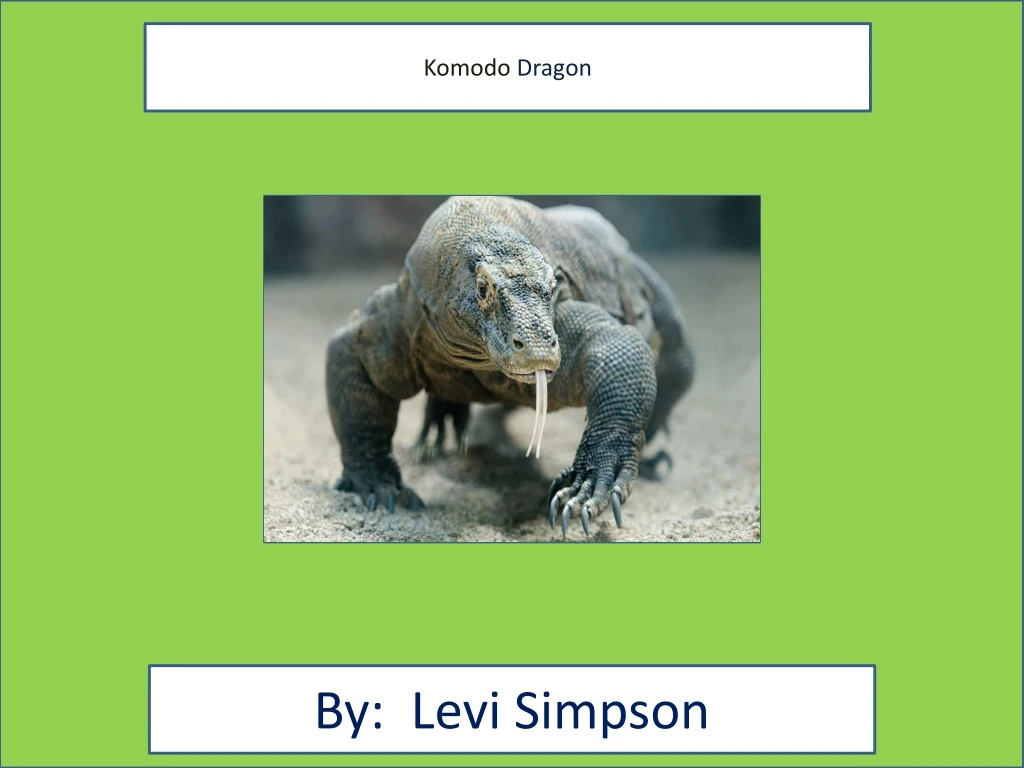 PPT - Komodo Dragon PowerPoint Presentation, free download - ID:8803756