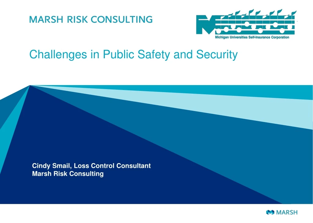PPT - Challenges in Public Safety and Security PowerPoint Presentation ...