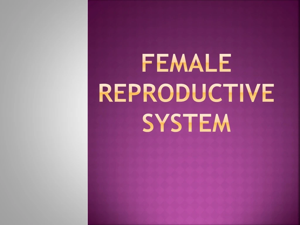 PPT - Female Reproductive System PowerPoint Presentation, free download ...