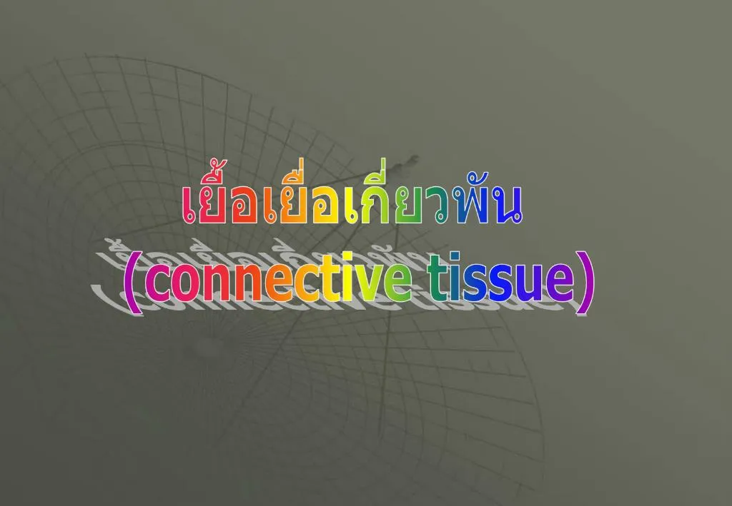 PPT - connective tissue PowerPoint Presentation, free download - ID:881649