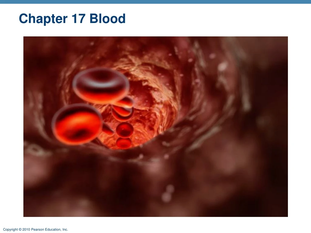 PPT - Chapter 17 Blood PowerPoint Presentation, free download - ID:8821345