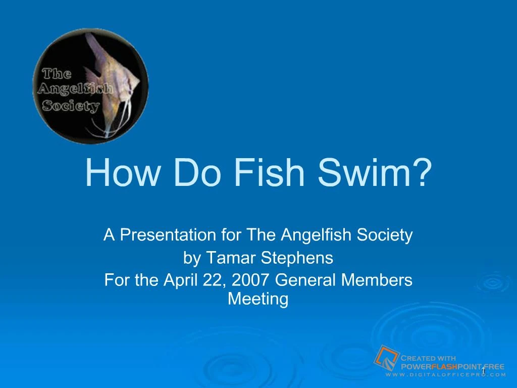 PPT - How Do Fish Swim PowerPoint Presentation, free download - ID:88234
