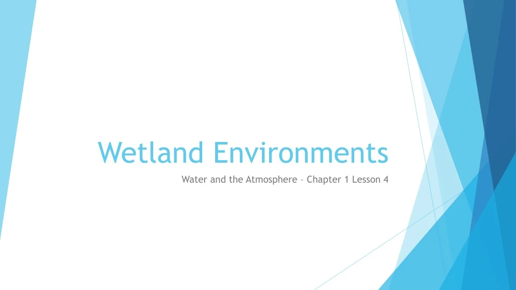 PPT - Wetland Environments PowerPoint Presentation, free download - ID ...