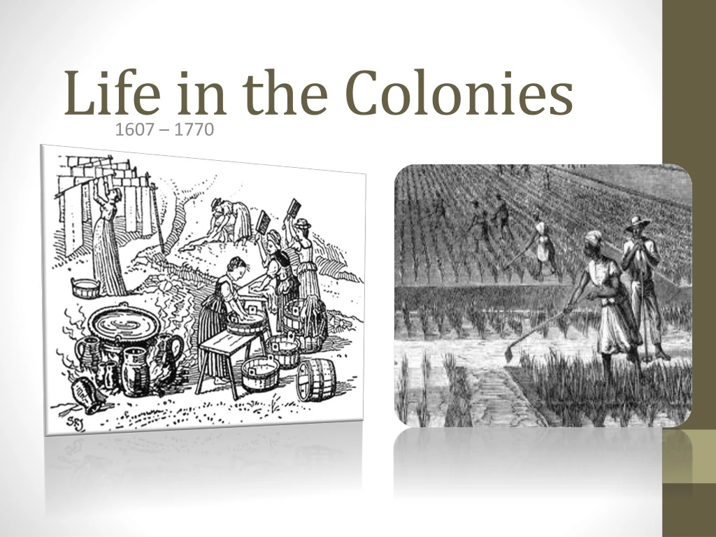 PPT - Life in the Colonies PowerPoint Presentation, free download - ID ...