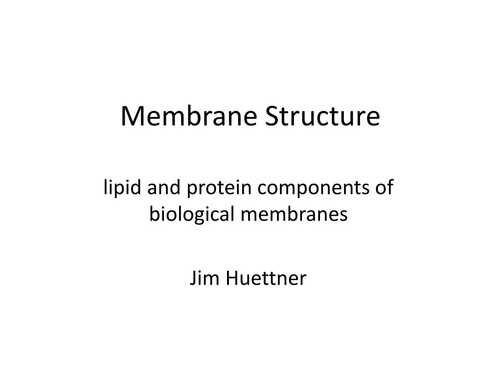 PPT - Membrane Structure PowerPoint Presentation, free download - ID ...