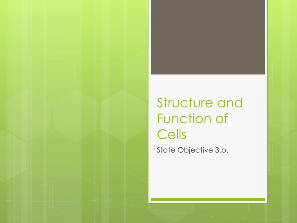 PPT - Structure and Function of Cells PowerPoint Presentation, free ...