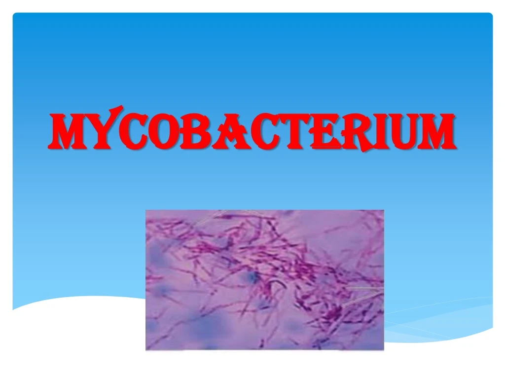 PPT - Mycobacterium PowerPoint Presentation, free download - ID:8831987