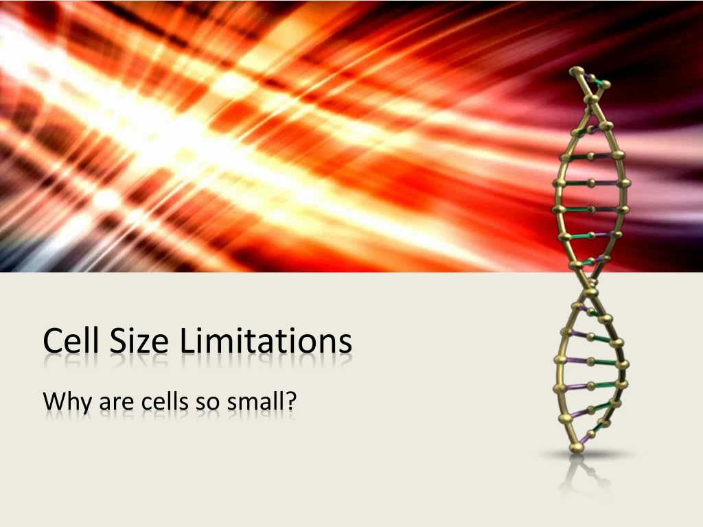 PPT - Cell Size Limitations PowerPoint Presentation, free download - ID ...