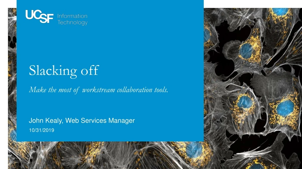 PPT - Slacking off PowerPoint Presentation, free download - ID:8838750