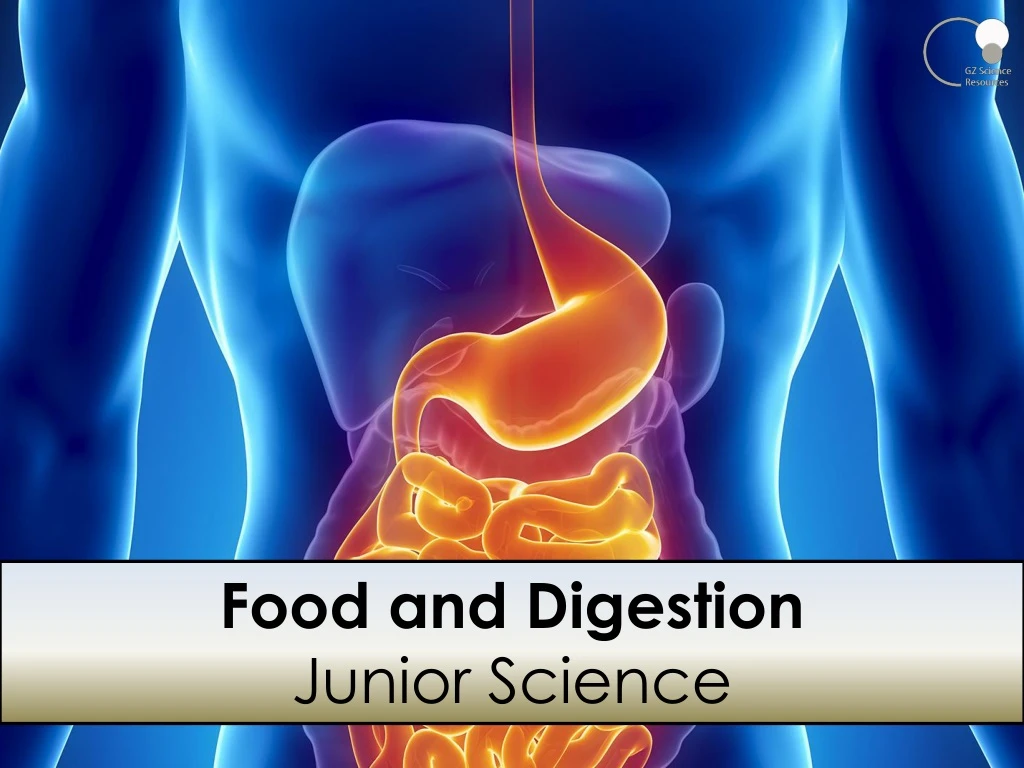PPT - Food and Digestion Junior Science PowerPoint Presentation, free ...