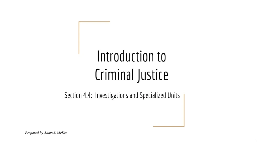 PPT - Introduction to Criminal Justice PowerPoint Presentation, free ...