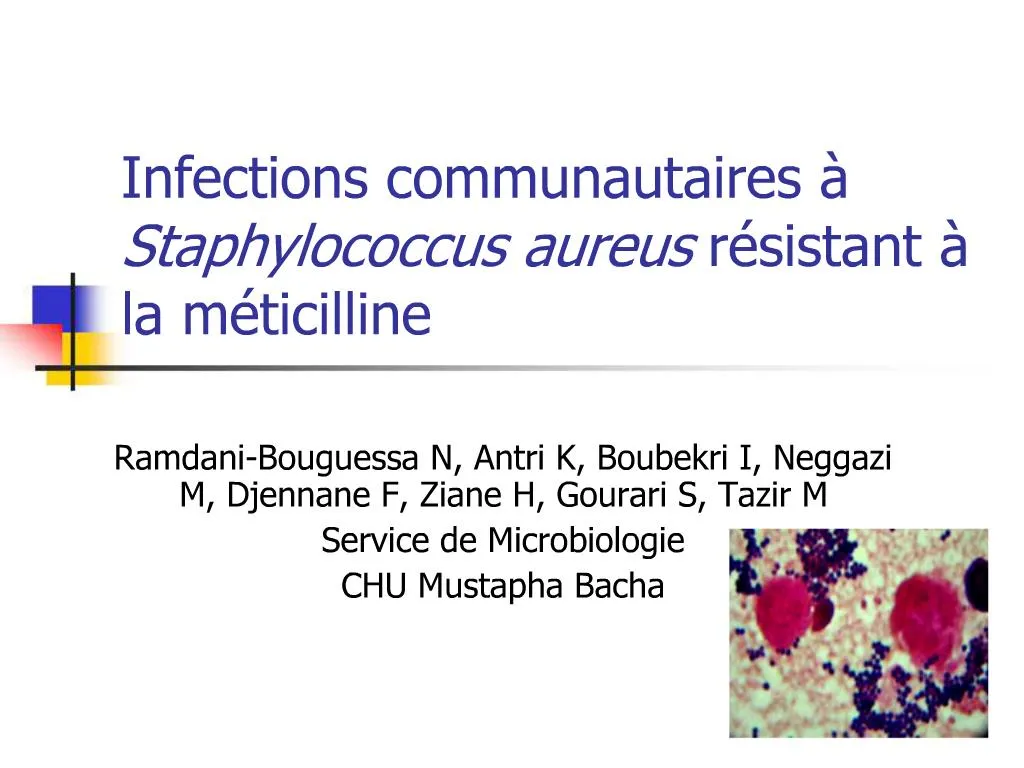 PPT - Infections communautaires Staphylococcus aureus r sistant la m ...