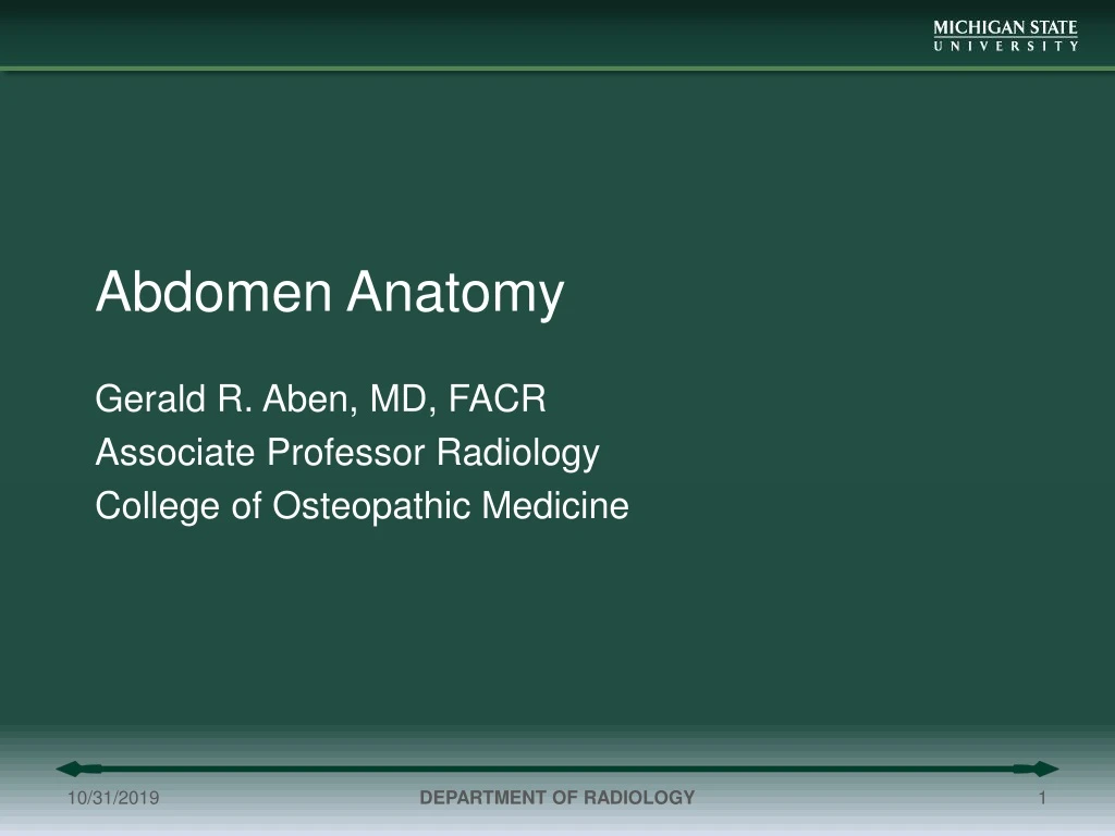PPT - Abdomen Anatomy PowerPoint Presentation, free download - ID:8856652