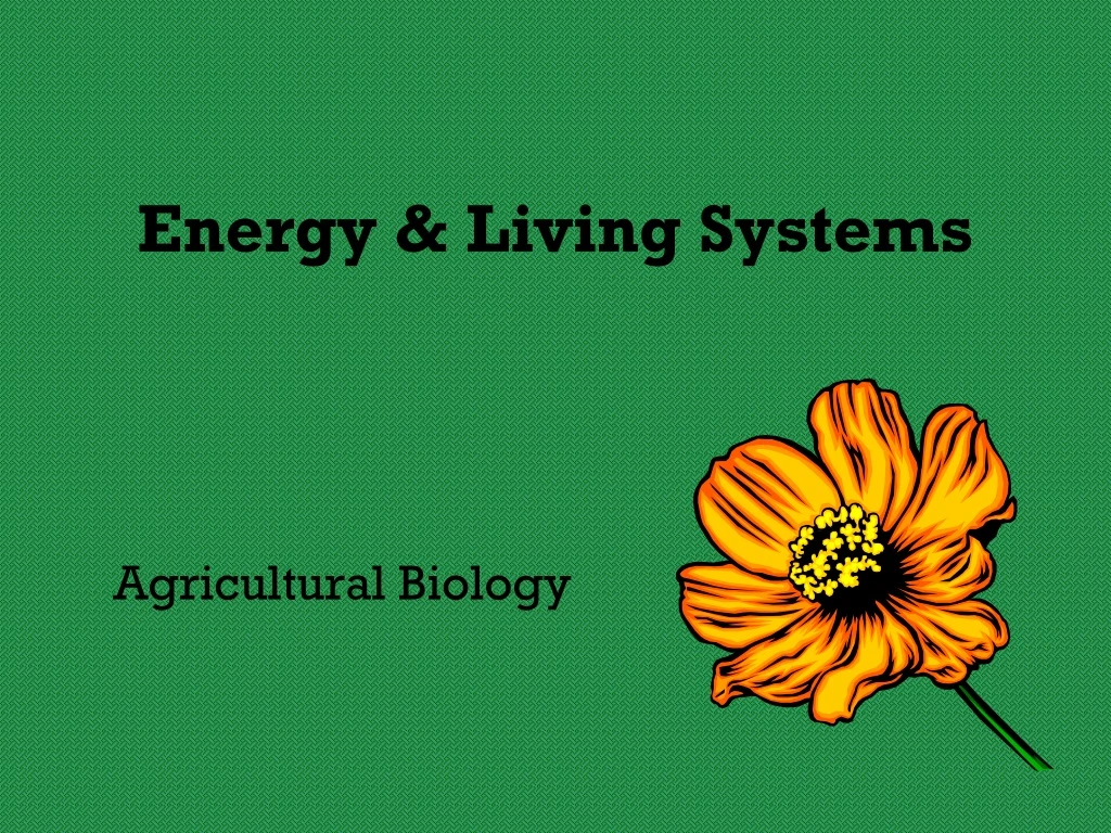PPT - Energy & Living Systems PowerPoint Presentation, free download ...