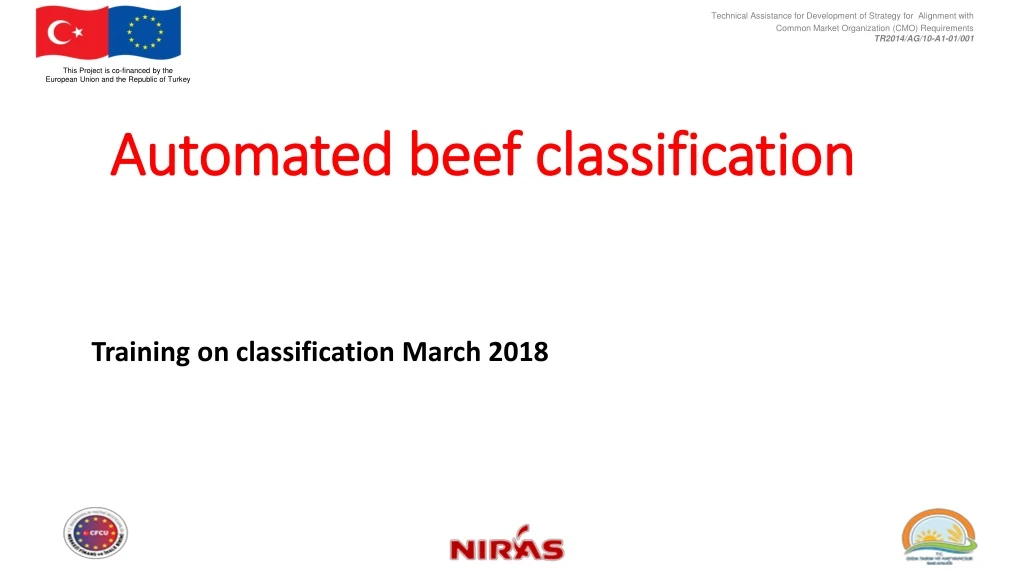 PPT - Automated beef classification PowerPoint Presentation, free ...