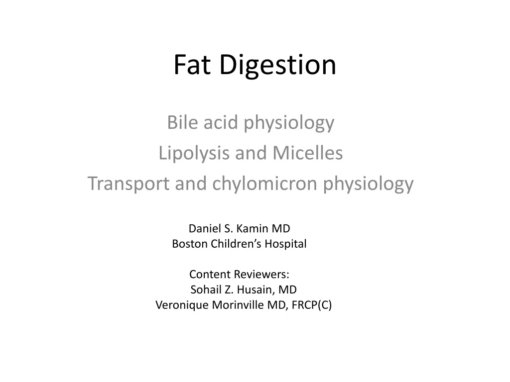 PPT - Fat Digestion PowerPoint Presentation, free download - ID:8864393