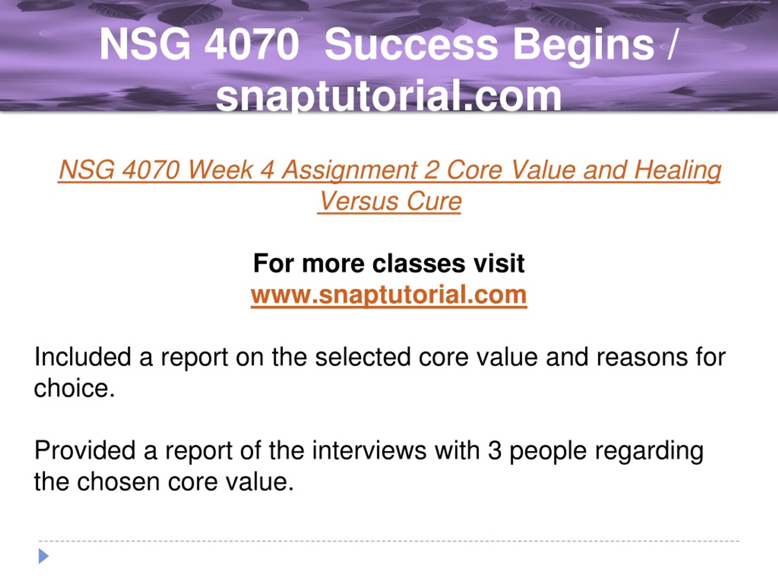 PPT - NSG 4070 Success Begins / snaptutorial.com PowerPoint ...