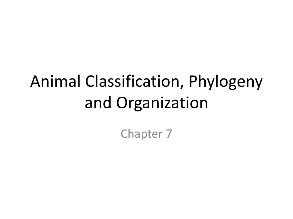 PPT - Animal Classification, Phylogeny and Organization PowerPoint ...