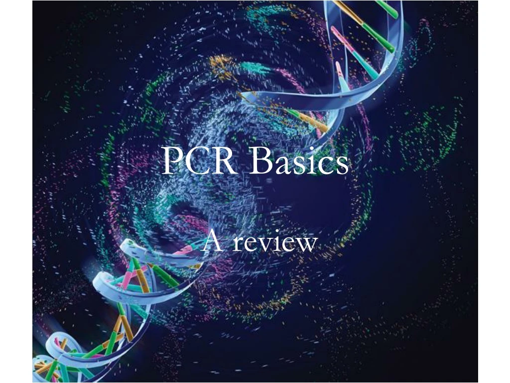 PPT - PCR Basics PowerPoint Presentation, free download - ID:8881095 PPT - PCR Basics PowerPoint Presentation, free download - ID:8881095