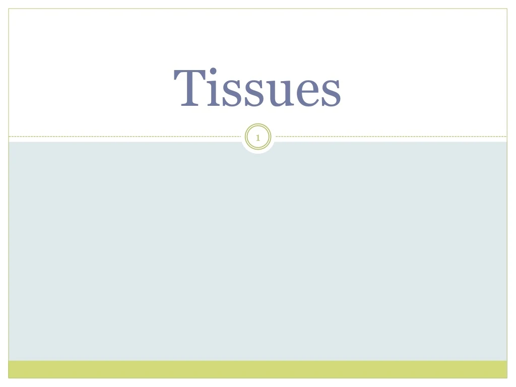 PPT - Tissues PowerPoint Presentation, free download - ID:8883927