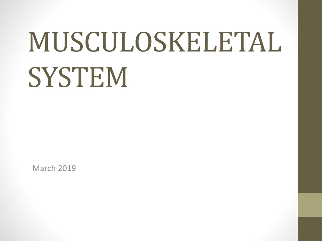 PPT - MUSCULOSKELETAL SYSTEM PowerPoint Presentation, free download ...