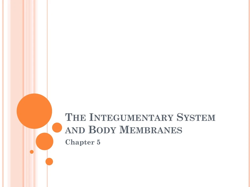 PPT - The Integumentary System and Body Membranes PowerPoint ...