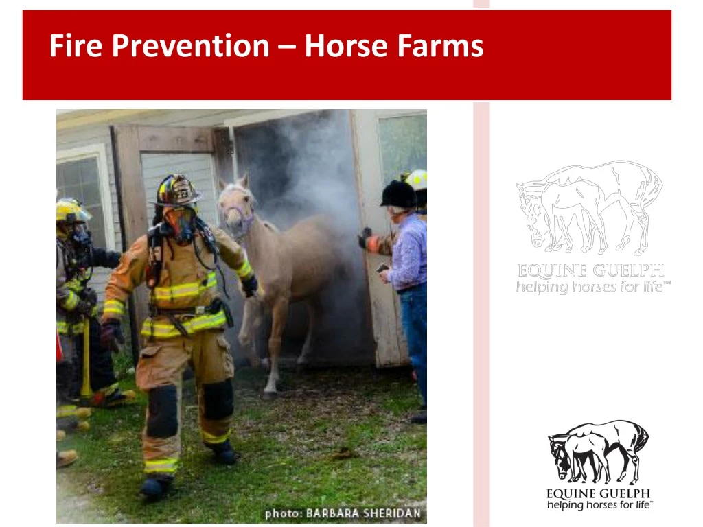 PPT - Fire Prevention – Horse Farms PowerPoint Presentation, free ...