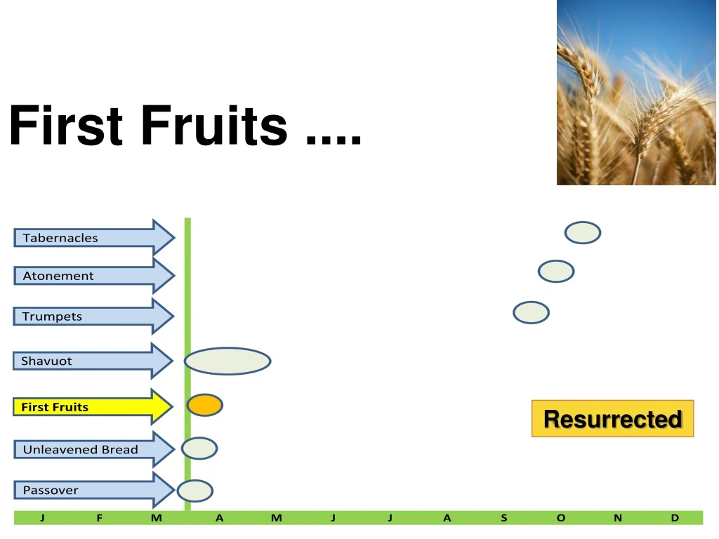 PPT - First Fruits .... PowerPoint Presentation, free download - ID:8918669