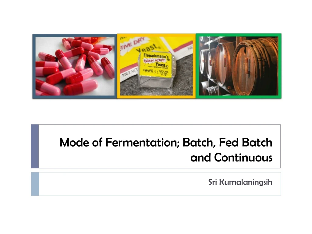 PPT - Mode of Fermentation; Batch, Fed Batch and Continuous PowerPoint Presentation - ID:8920931