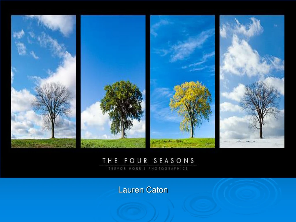PPT - The Four Seasons PowerPoint Presentation, free download - ID:8921041