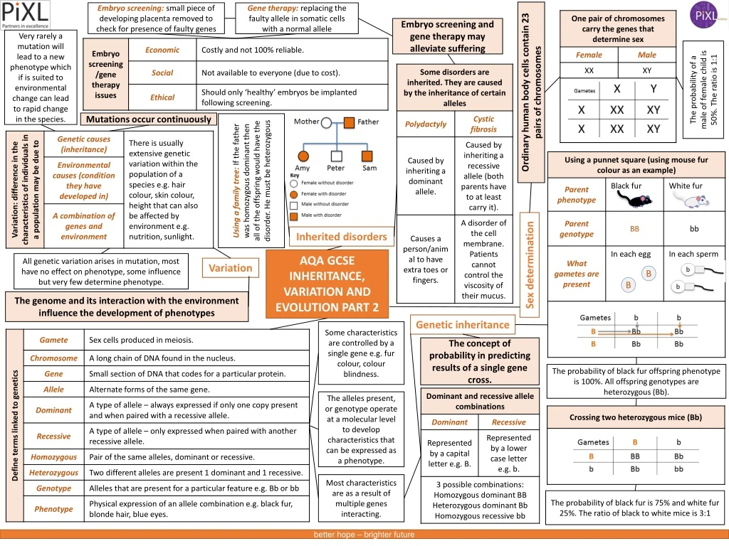 PPT - AQA GCSE INHERITANCE, VARIATION AND EVOLUTION PART 2 PowerPoint ...