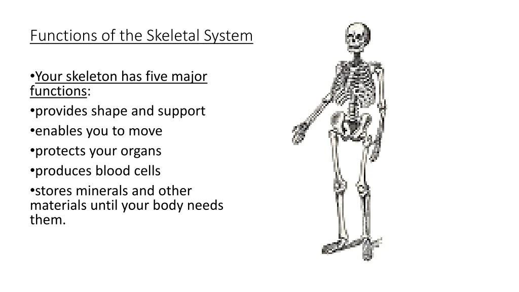 PPT - Functions of the Skeletal System PowerPoint Presentation, free ...