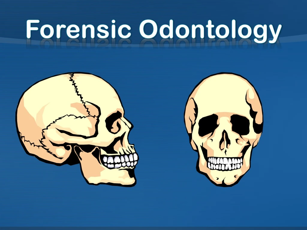 PPT - Forensic Odontology PowerPoint Presentation, free download - ID ...
