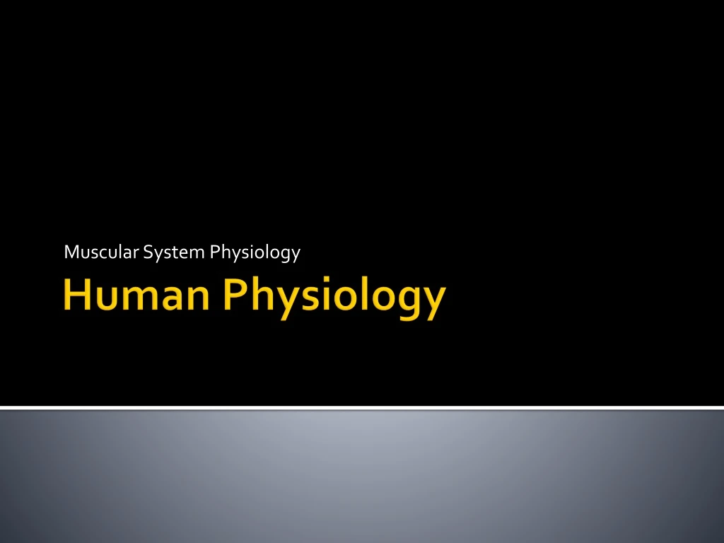 PPT - Human Physiology PowerPoint Presentation, free download - ID:8929987