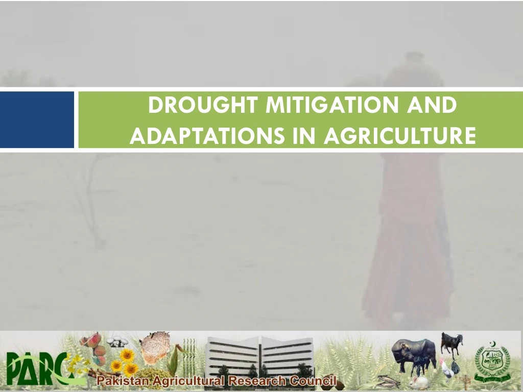 PPT - DROUGHT MITIGATION AND ADAPTATIONS IN AGRICULT URE PowerPoint ...