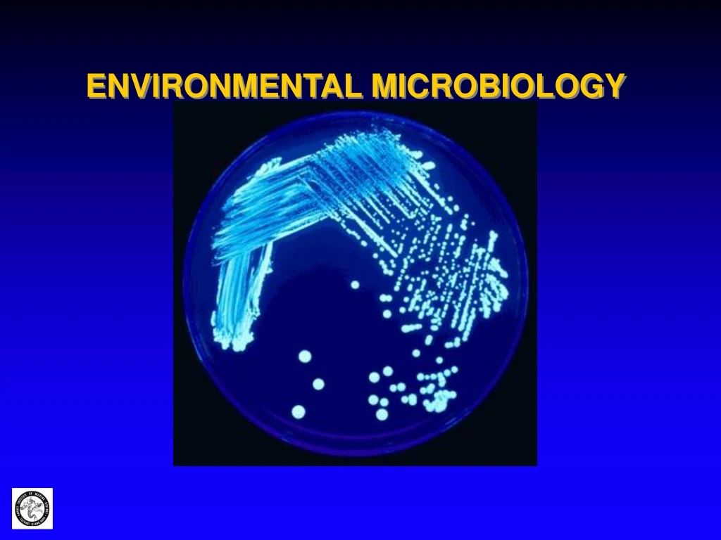PPT - ENVIRONMENTAL MICROBIOLOGY PowerPoint Presentation, free download ...