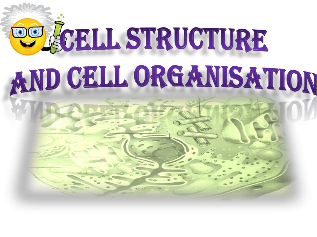 PPT - Cell Structure and Cell Organisation PowerPoint Presentation ...