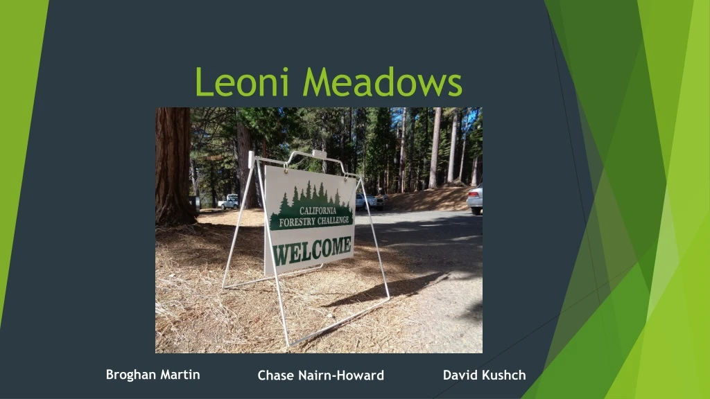 PPT - Leoni Meadows PowerPoint Presentation, free download - ID:8948707