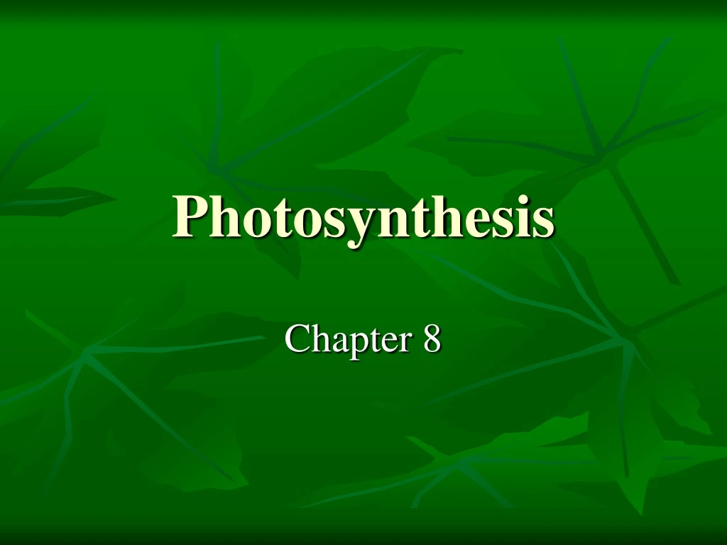 PPT - Photosynthesis PowerPoint Presentation, free download - ID:8950171