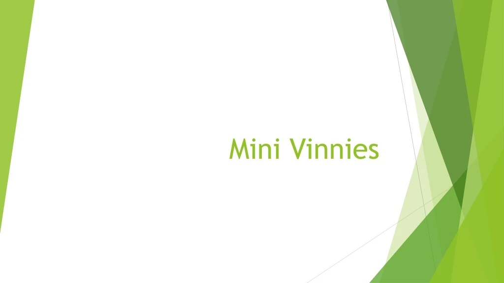 PPT - Mini Vinnies PowerPoint Presentation, free download - ID:8950404