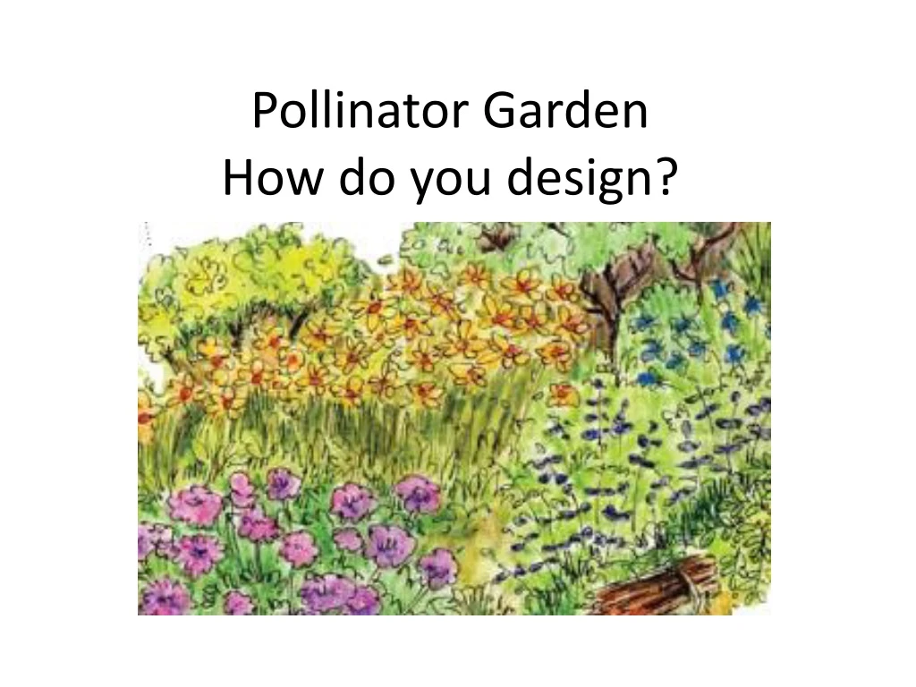 PPT - Pollinator Garden How do you design? PowerPoint Presentation ...