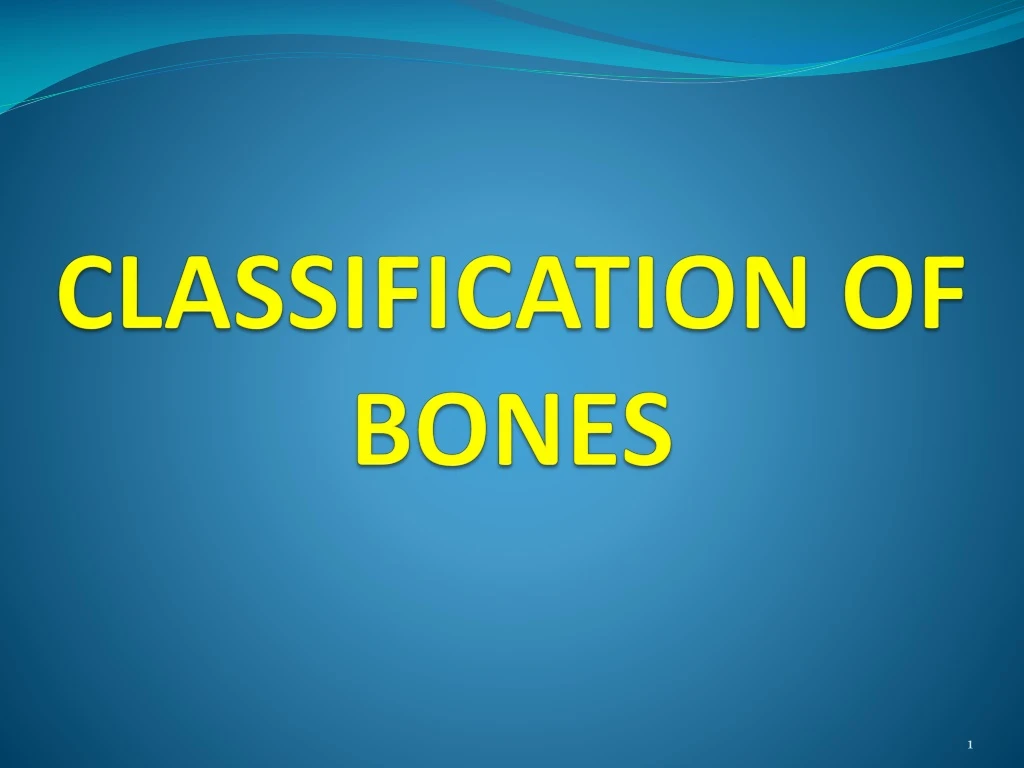 PPT - CLASSIFICATION OF BONES PowerPoint Presentation, free download ...